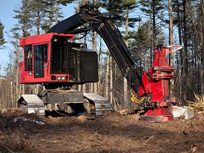 Echipament forestier Utilaje și echipamente de vânzare | Mascus România