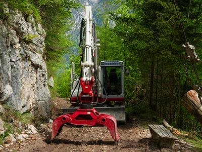 Echipament forestier Utilaje și echipamente de vânzare | Mascus România