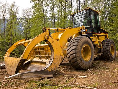 Echipament forestier Utilaje și echipamente de vânzare | Mascus România